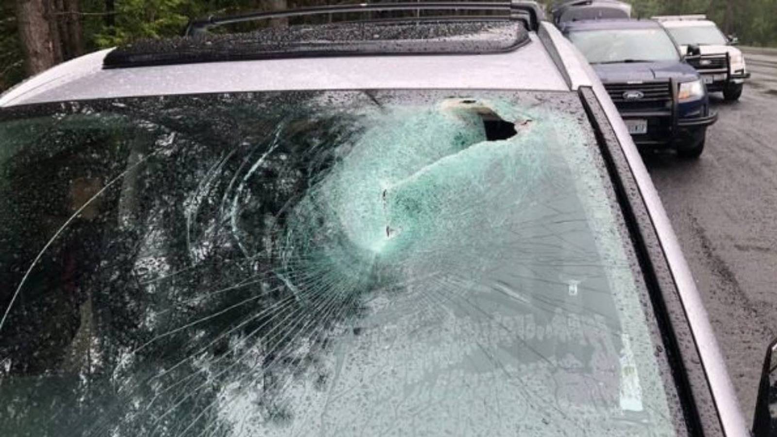 Falling Rock Shatters Windshield Nearly Hits Driver In Head Wpxi